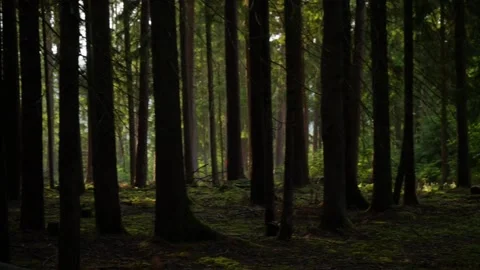 A slow camera pan across bright and sun... | Stock Video | Pond5