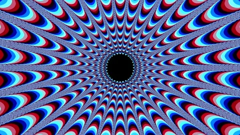 Image Of Dive Stock Videos – Royalty-Free HD & 4K Videos