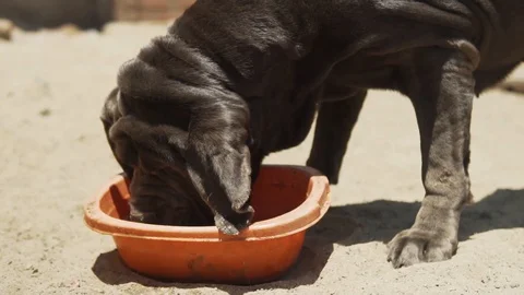 Hot Blind Hd Stock Videos – Royalty-Free HD & 4K Videos