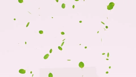 Water Drop Falling Leaves Animation Stock Video Footage | Royalty Free ...