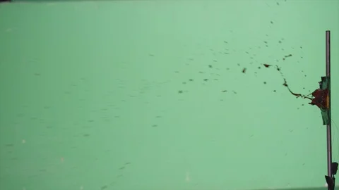 Blood Squib Stock Footage ~ Royalty Free Stock Videos | Pond5