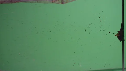 Blood Squib Stock Footage ~ Royalty Free Stock Videos | Pond5