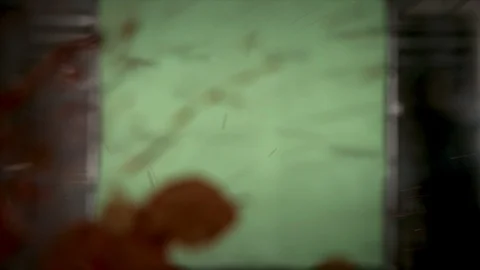 Slow motion blood squibs exploding at ca... | Stock Video | Pond5