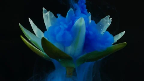 Slow motion of blue color ink paint in w... | Stock Video | Pond5