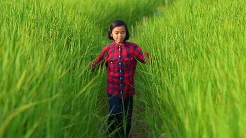 Slow motion children playing in rice fie... | Stock Video | Pond5
