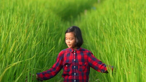 Slow motion children playing in rice fie... | Stock Video | Pond5