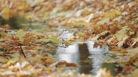 Motion For Cla Stock Videos – Royalty-Free HD & 4K Videos