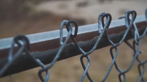 Link For Clip Stock Videos – Royalty-Free HD & 4K Videos