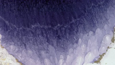 Music Video O Stock Videos – Royalty-Free HD & 4K Videos | Pond5