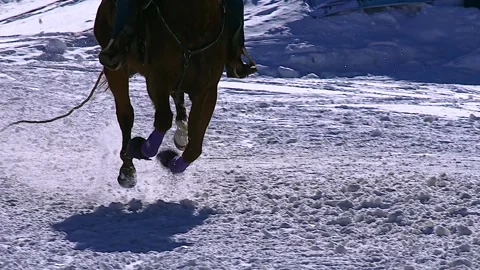 Slow Motion: Closeup Of Galloping Horse... | Stock Video | Pond5