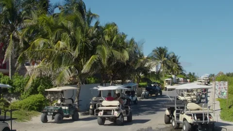 Tree Mujeres Stock Videos – Royalty-Free HD & 4K Videos | Pond5