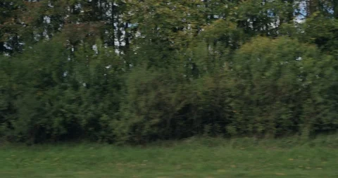 Slow motion driving plate side view of m... | Stock Video | Pond5