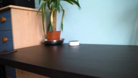 Money Dropping Stock Video Footage | Royalty Free Money Dropping Videos ...