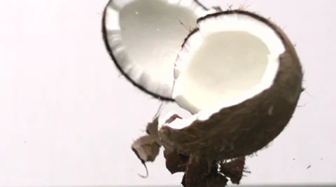 Coconut Falling Stock Footage ~ Royalty Free Stock Videos | Pond5