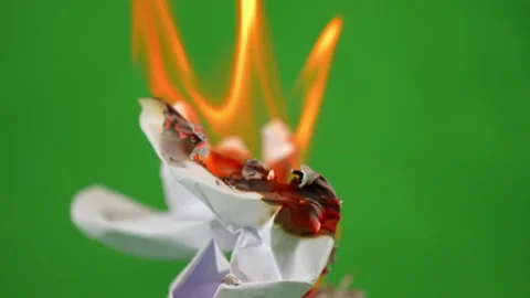 Slow motion fire flame burning on green ... | Stock Video | Pond5