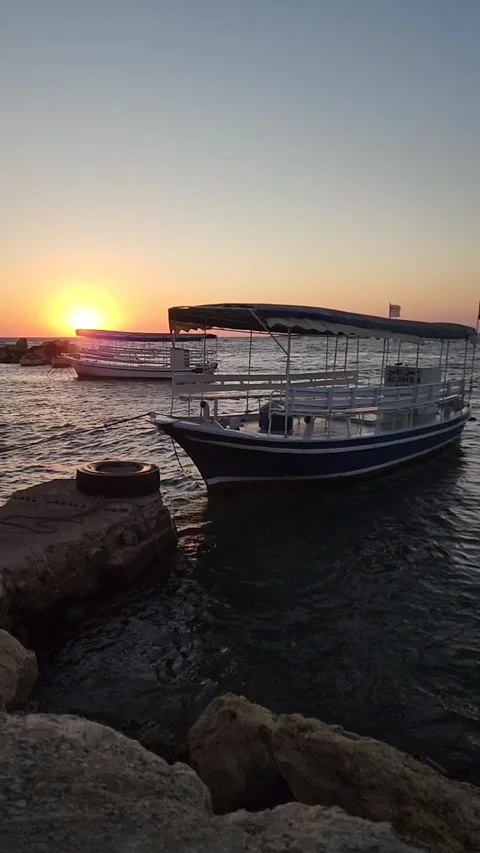 Little Mina Stock Videos – Royalty-Free HD & 4K Videos