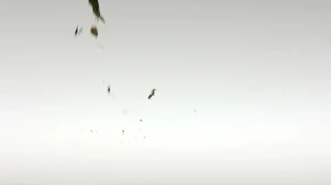 Slow Motion Green Tea Falling on White B... | Stock Video | Pond5