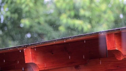 Slow Motion Heavy Rain Drops On Garden S... | Stock Video | Pond5