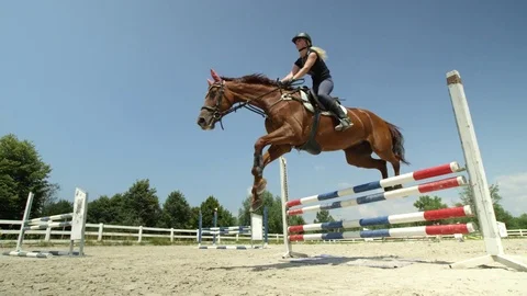 Horse Stock Video Footage | Royalty Free Horse Videos | Pond5