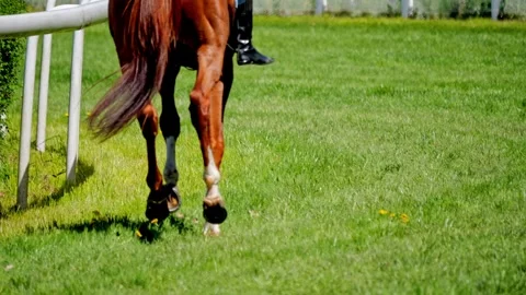 Horse Race Slow Motion Stock Footage ~ Royalty Free Stock Videos | Pond5