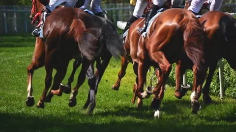 Horse Race Slow Motion Stock Footage ~ Royalty Free Stock Videos | Pond5