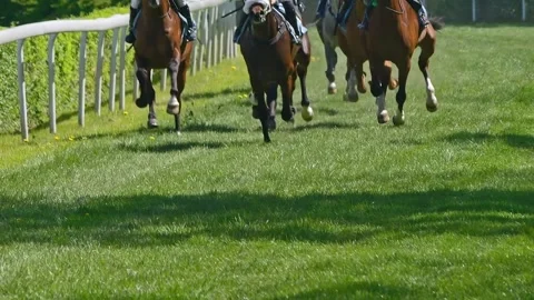 Slow motion horse race, muscular horses ... | Stock Video | Pond5