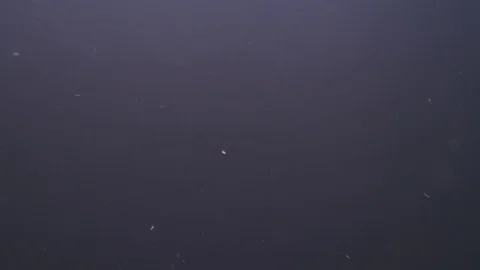 Slow motion macro dust particles float o... | Stock Video | Pond5