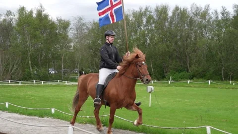 Male Horse M Stock Videos – Royalty-Free HD & 4K Videos | Pond5