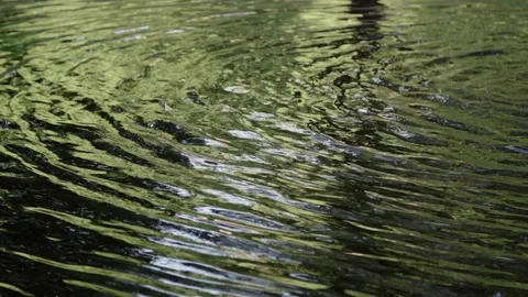 Slow Moving Water Stock Footage ~ Royalty Free Stock Videos | Pond5