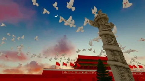 Slow motion of peace dove flying over Ti... | Stock Video | Pond5