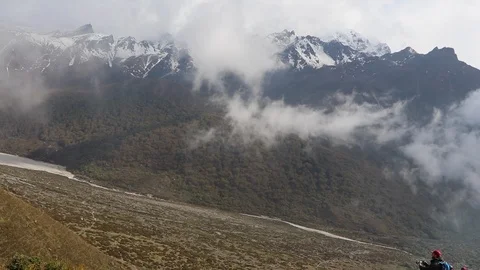 Two Birds Moving Stock Videos – Royalty-Free HD & 4K Videos | Pond5