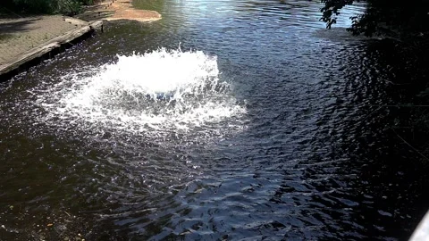 Picture For System Stock Videos – Royalty-Free HD & 4K Videos | Pond5