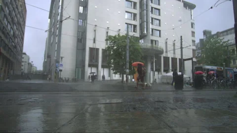 Bus Picture Stock Videos – Royalty-Free HD & 4K Videos | Pond5