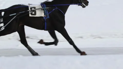 Horse Racing Drawings Stock Videos – Royalty-Free HD & 4K Videos | Pond5