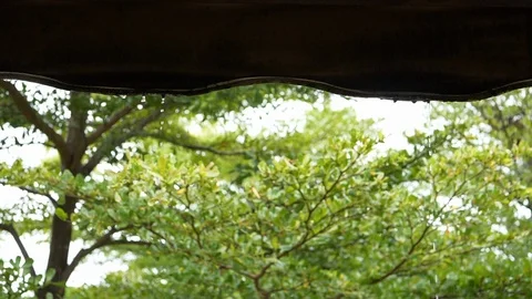 slow motion, rain drop overflow on roof ... | Stock Video | Pond5