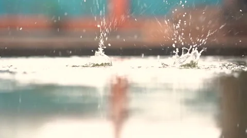 Slow motion rain droplets falling on gro... | Stock Video | Pond5