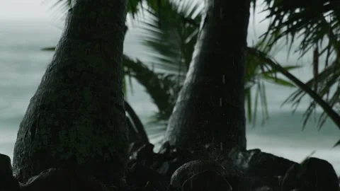 Slow motion of rain drops falling on roc... | Stock Video | Pond5