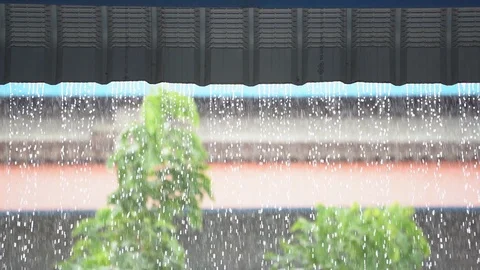 Slow motion rain falling and droplets fr... | Stock Video | Pond5