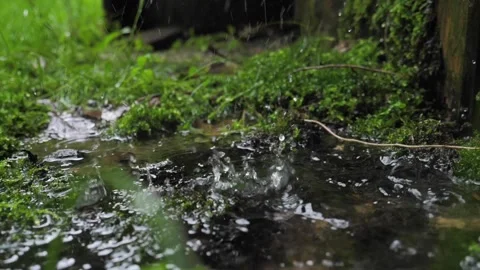 Slow Motion of Raindrops Falling on Gree... | Stock Video | Pond5