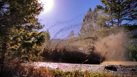 Off Road Toyota Stock Videos – Royalty-Free HD & 4K Videos