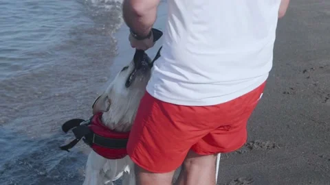 Own Waterback Stock Videos – Royalty-Free HD & 4K Videos | Pond5