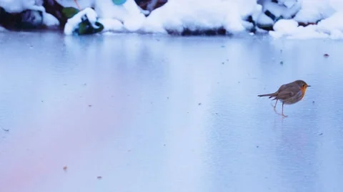 Kinematic Panning Stock Footage ~ Royalty Free Stock Videos | Pond5