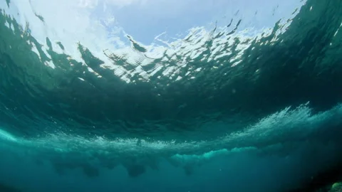 Slow Motion Shot Of Fish Swimming In Sea... | Stock Video | Pond5