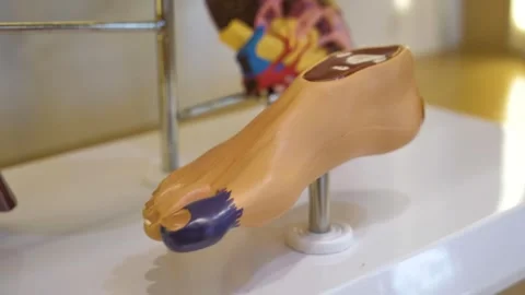 Slow motion shot of a right foot anatomy... | Stock Video | Pond5