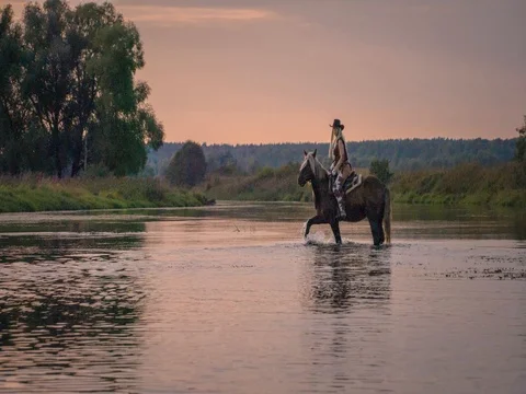 Slow motion shot of running horse in sun... | Stock Video | Pond5