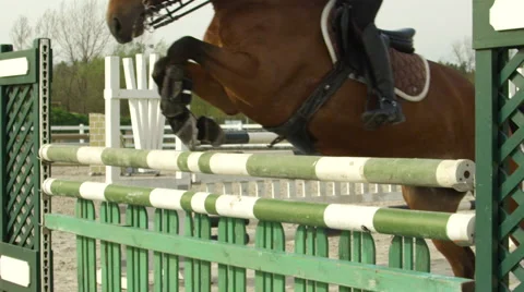 Showjumping Stock Video Footage | Royalty Free Showjumping Videos | Pond5