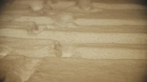 Cast Of Falli Stock Videos – Royalty-Free HD & 4K Videos