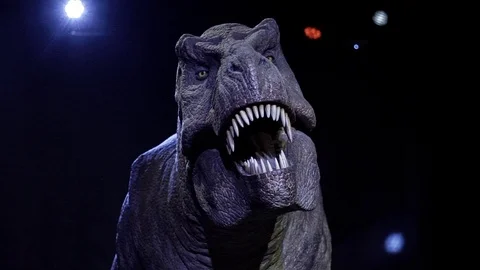 Dinosaur T Rex Stock Video Footage | Royalty Free Dinosaur T Rex Videos ...