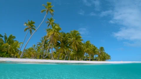 One Foot Tall Stock Videos – Royalty-Free HD & 4K Videos