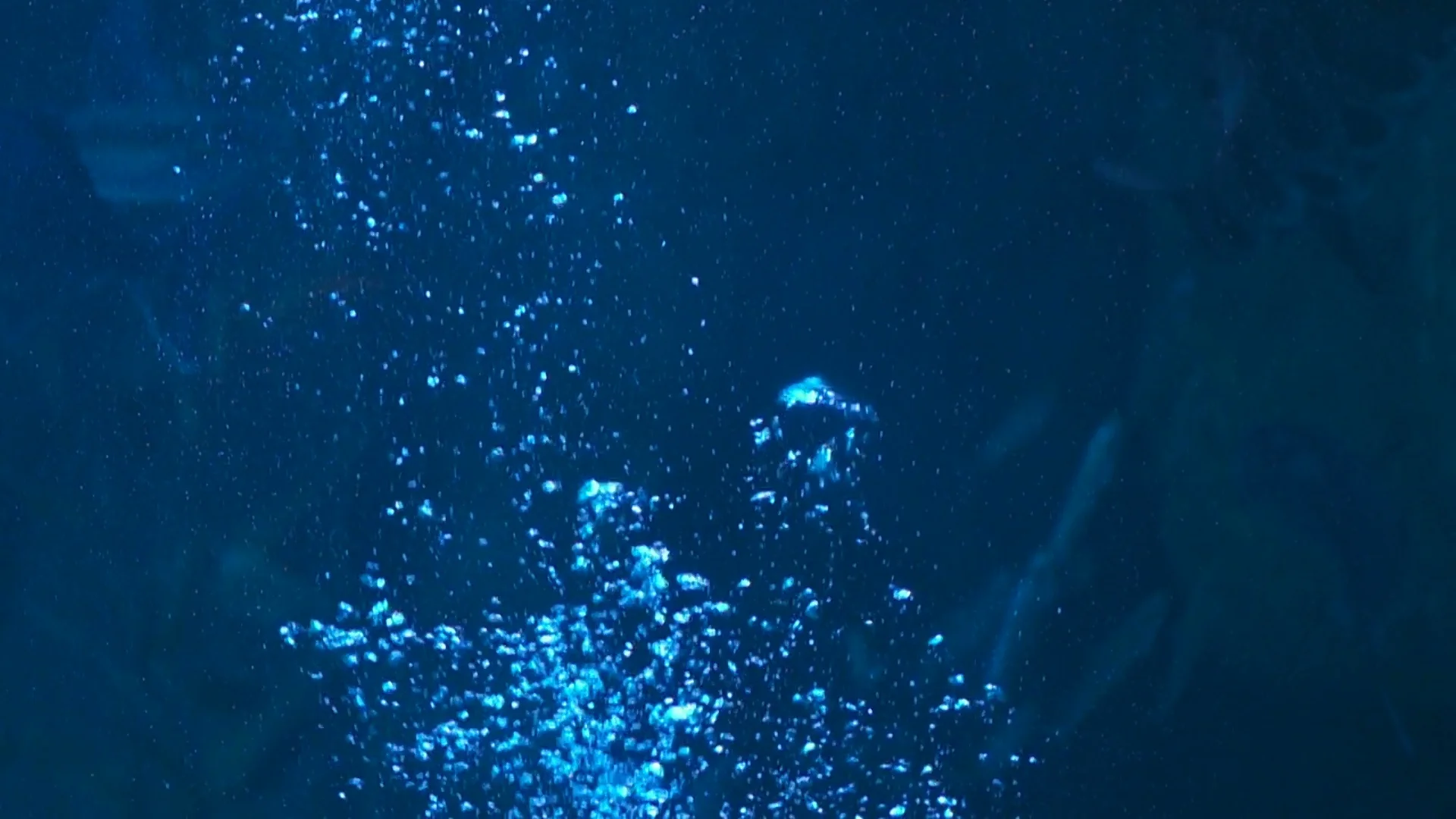 Underwater Looking Up Bubbles